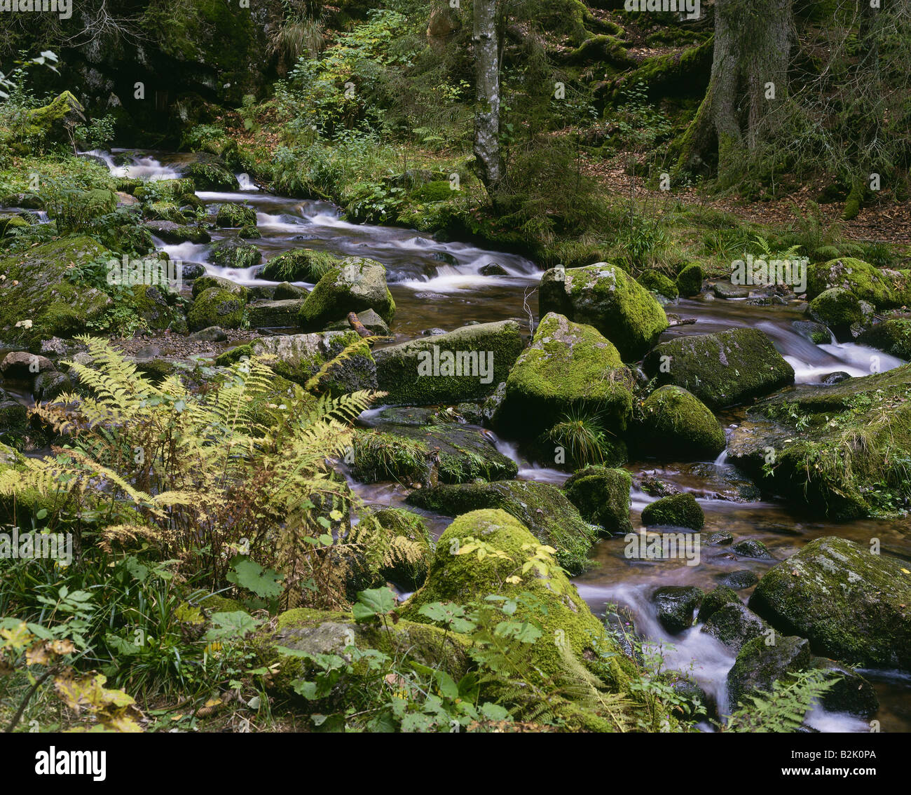 geography / travel, Germany, Baden-Wuerttemberg, landscapes, Black ...