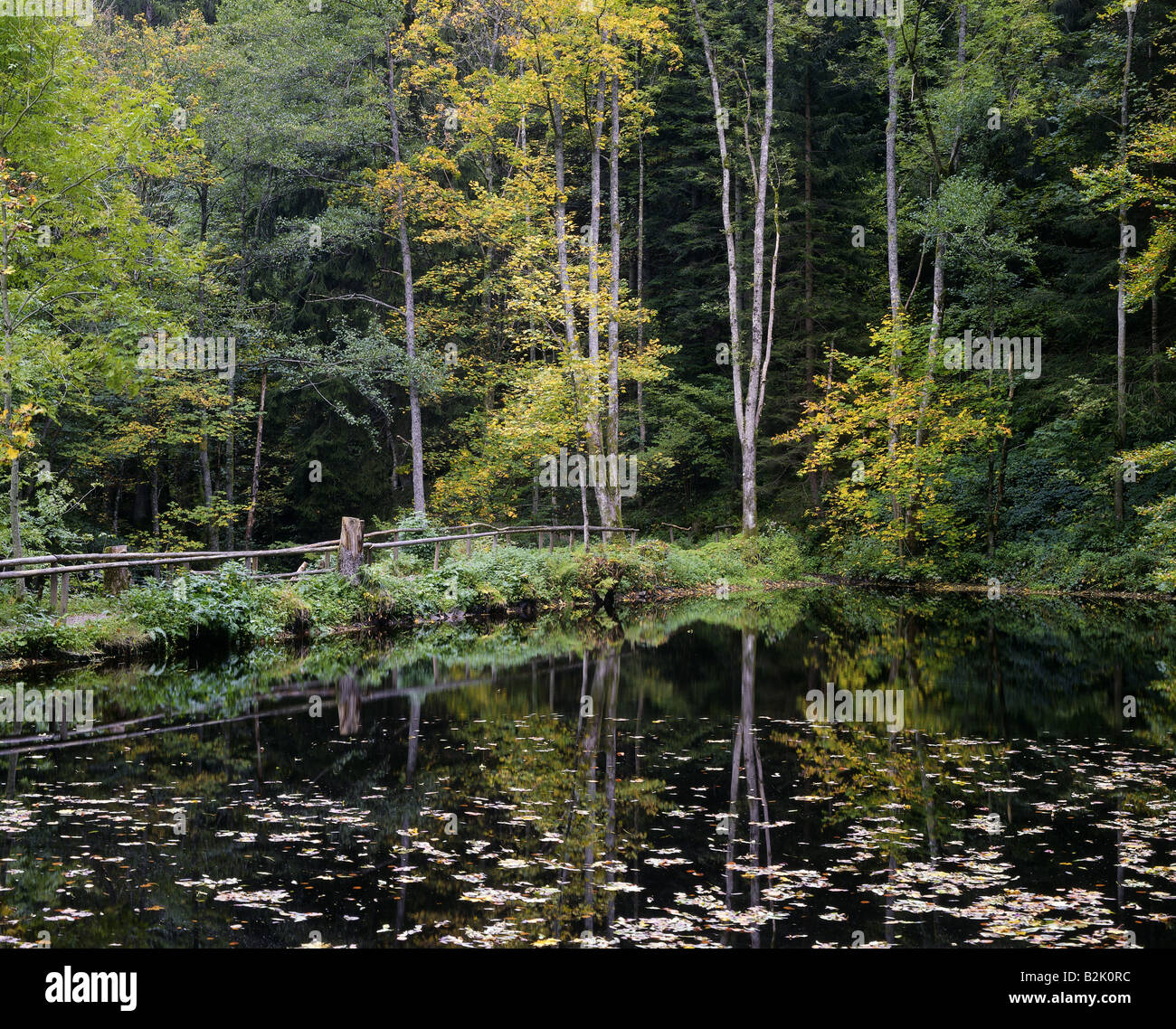 geography / travel, Germany, Baden-Wuerttemberg, landscapes, Black ...