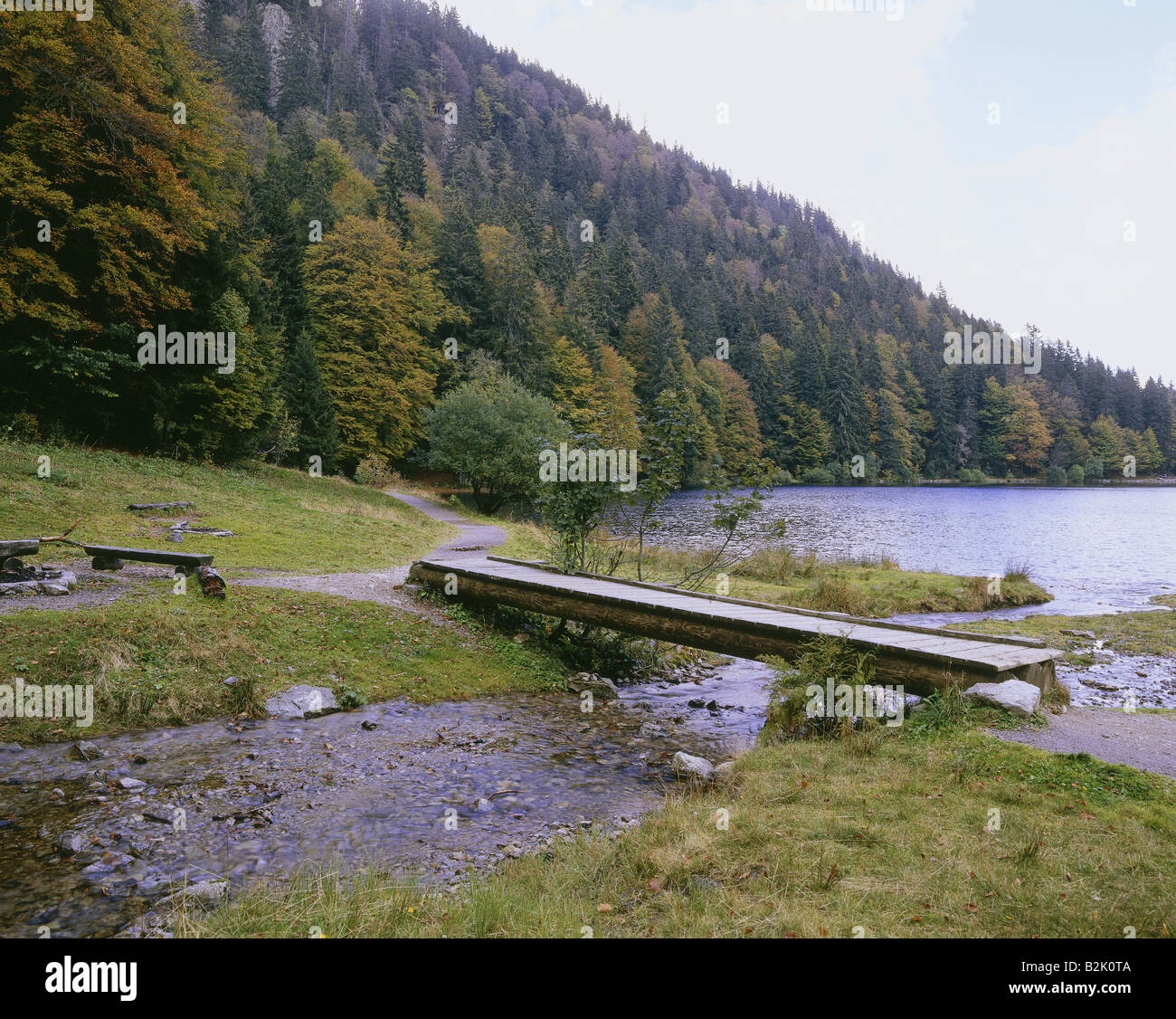 geography / travel, Germany, Baden-Wuerttemberg, landscapes, Black ...