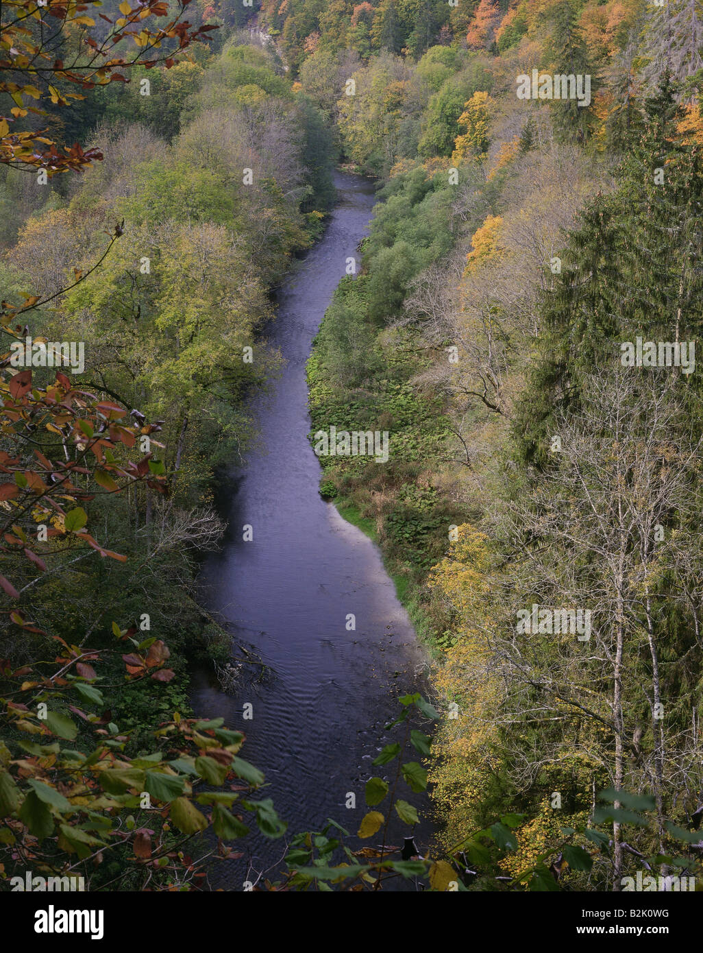 geography / travel, Germany, Baden-Wuerttemberg, landscapes, Black ...