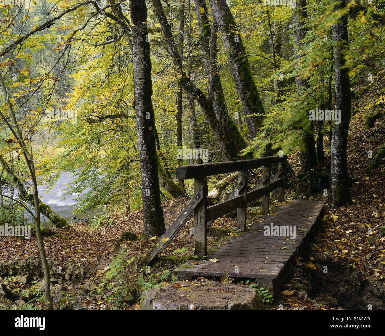 geography / travel, Germany, Baden-Wuerttemberg, landscapes, Black ...