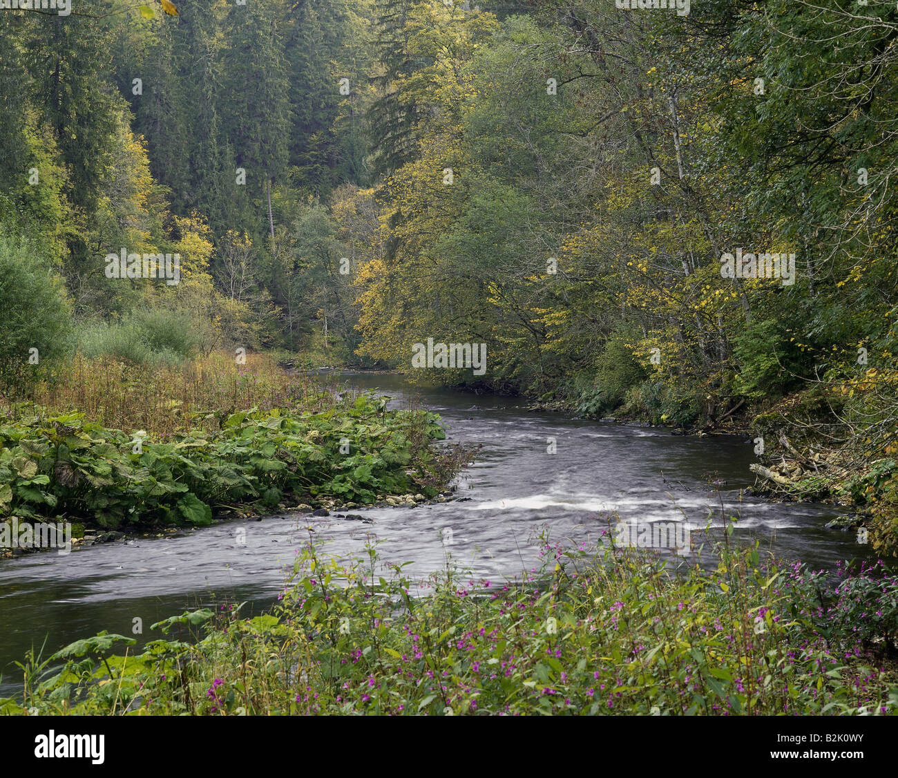 geography / travel, Germany, Baden-Wuerttemberg, landscapes, Black ...