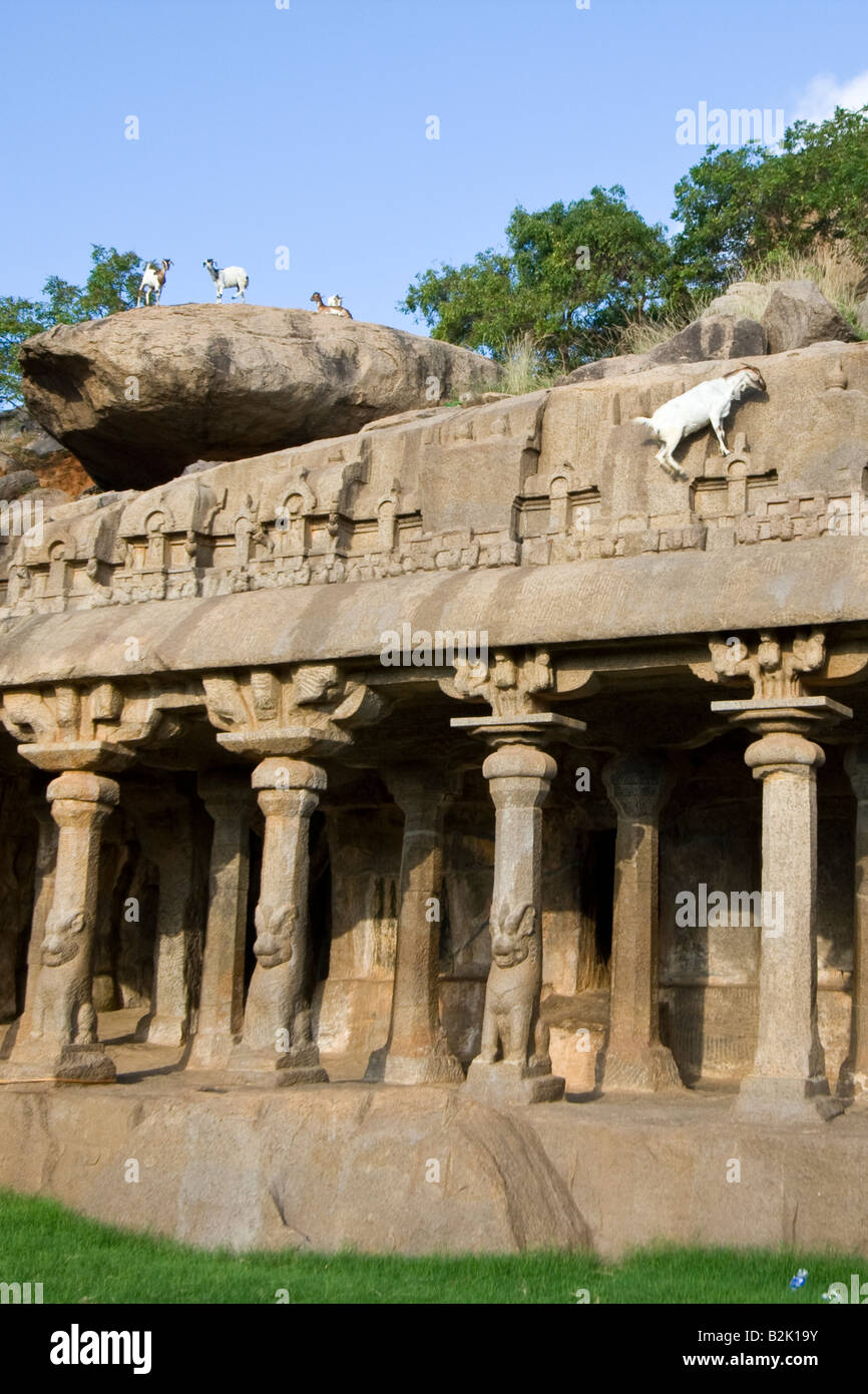 Mandapam Krishna Stone Temple Cave in Mamallapuram South Inida Stock ...