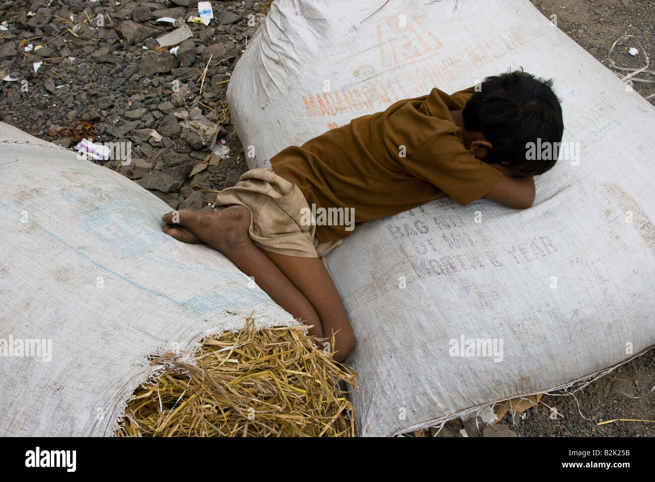 Young Homeless Boys in the Streets of Mumbai India Stock Photo - Alamy