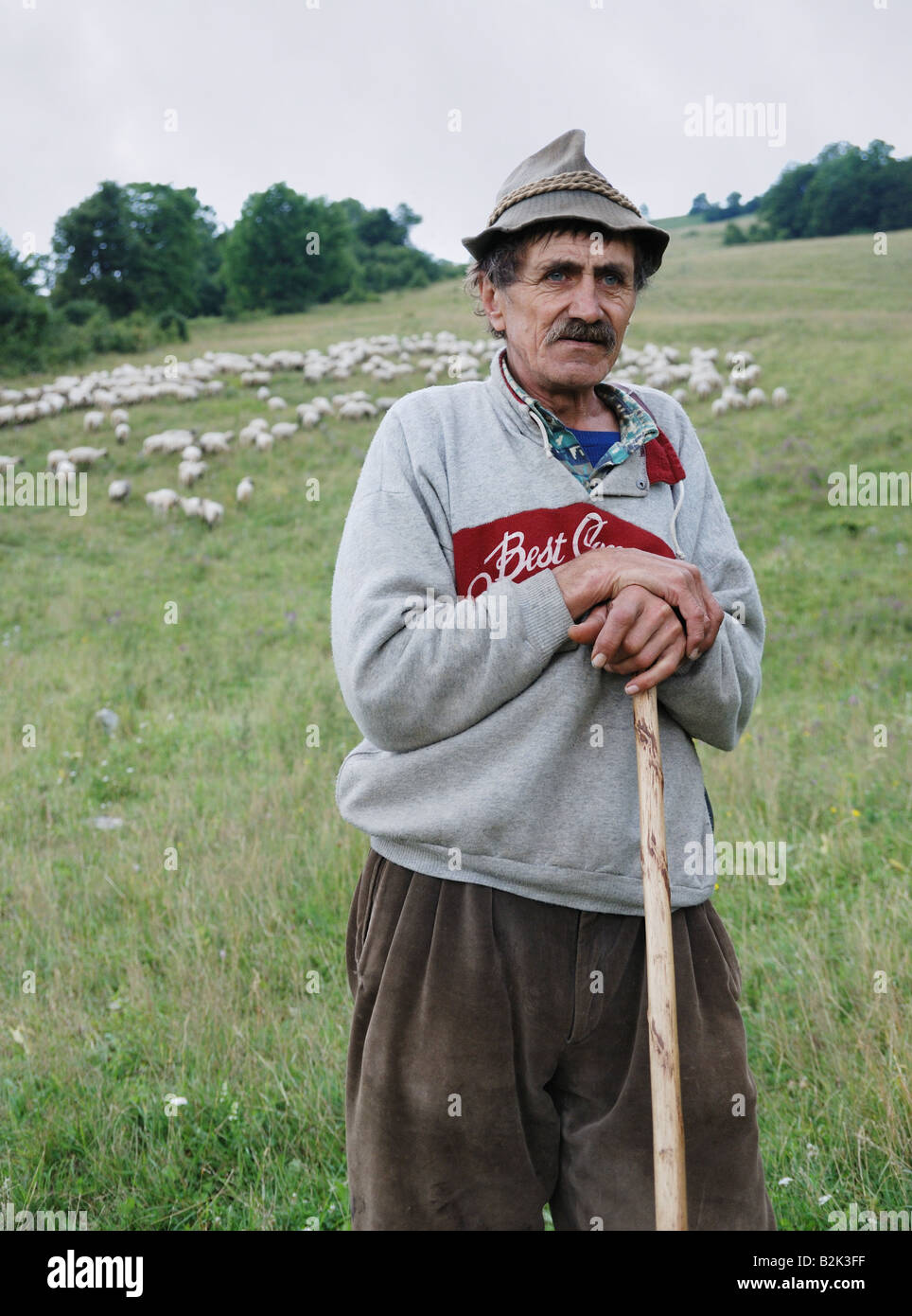 Portrait of mature sheperd man with grass and sheeps in background ...
