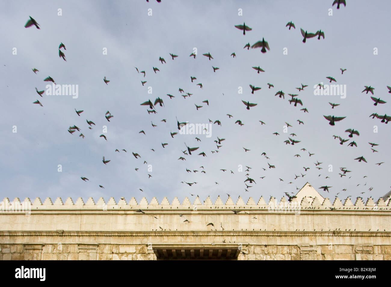 Pigeons over Umayyad Mosque in Damascus Syria Stock Photo - Alamy