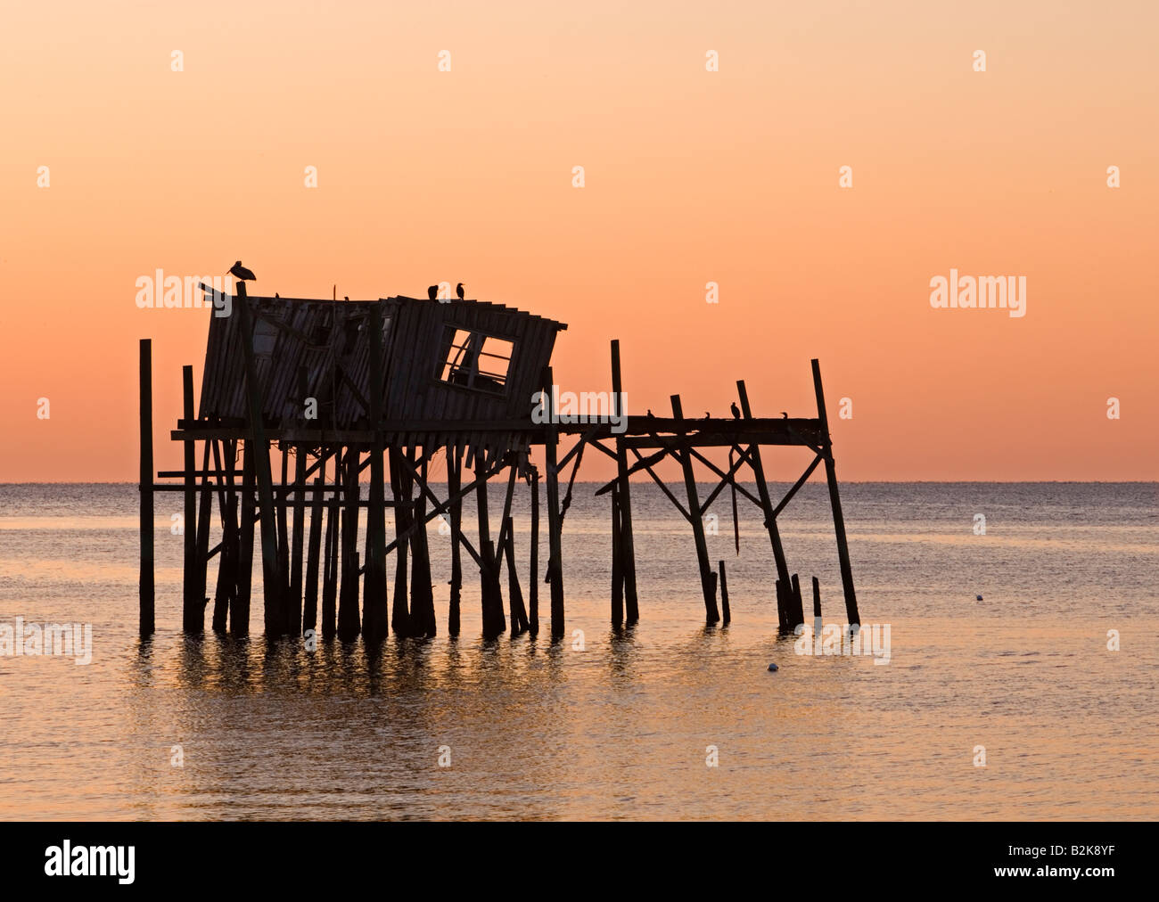 stilt shack, Cedar Key, Florida Stock Photo - Alamy