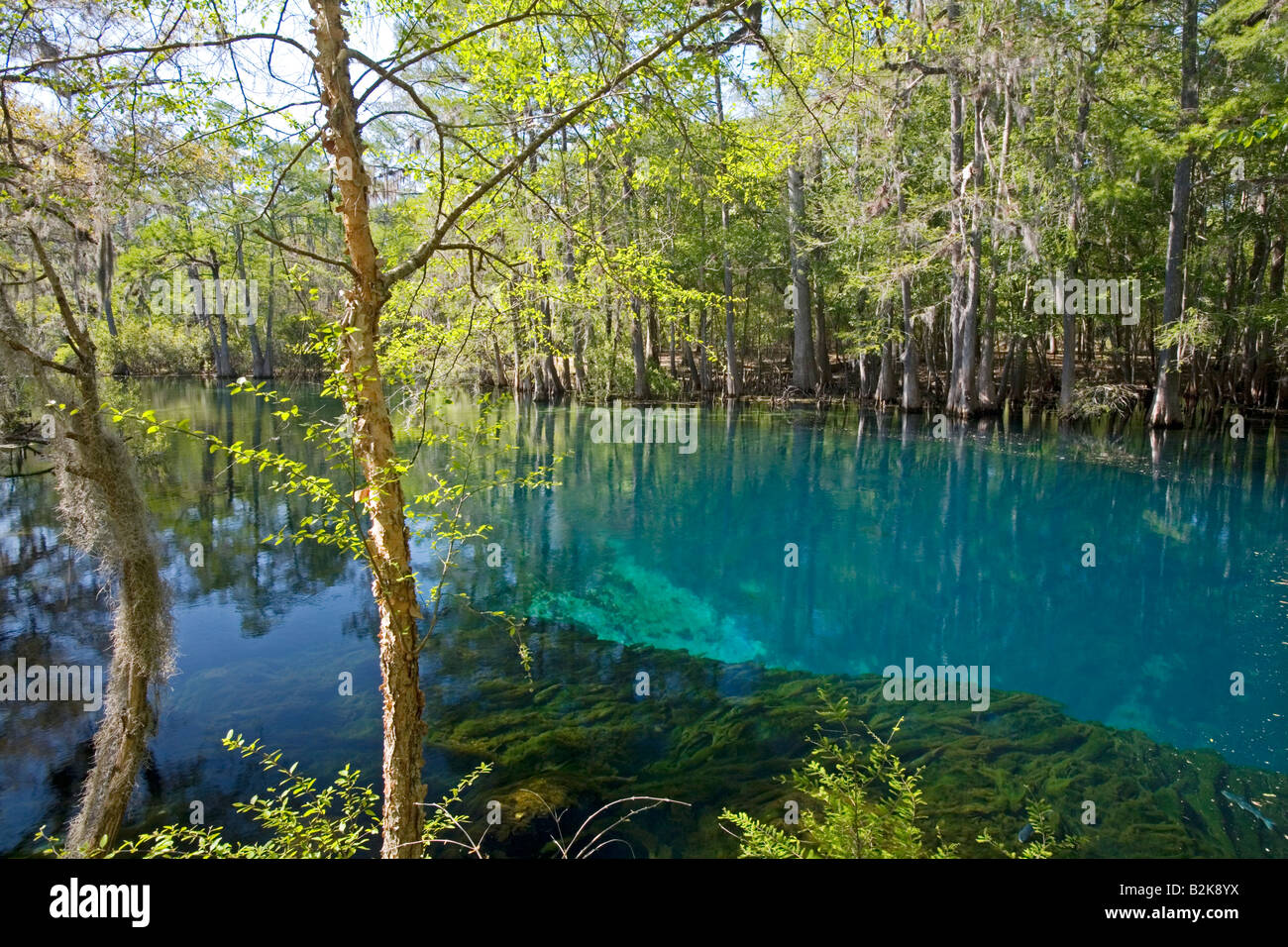 Manatee National Park