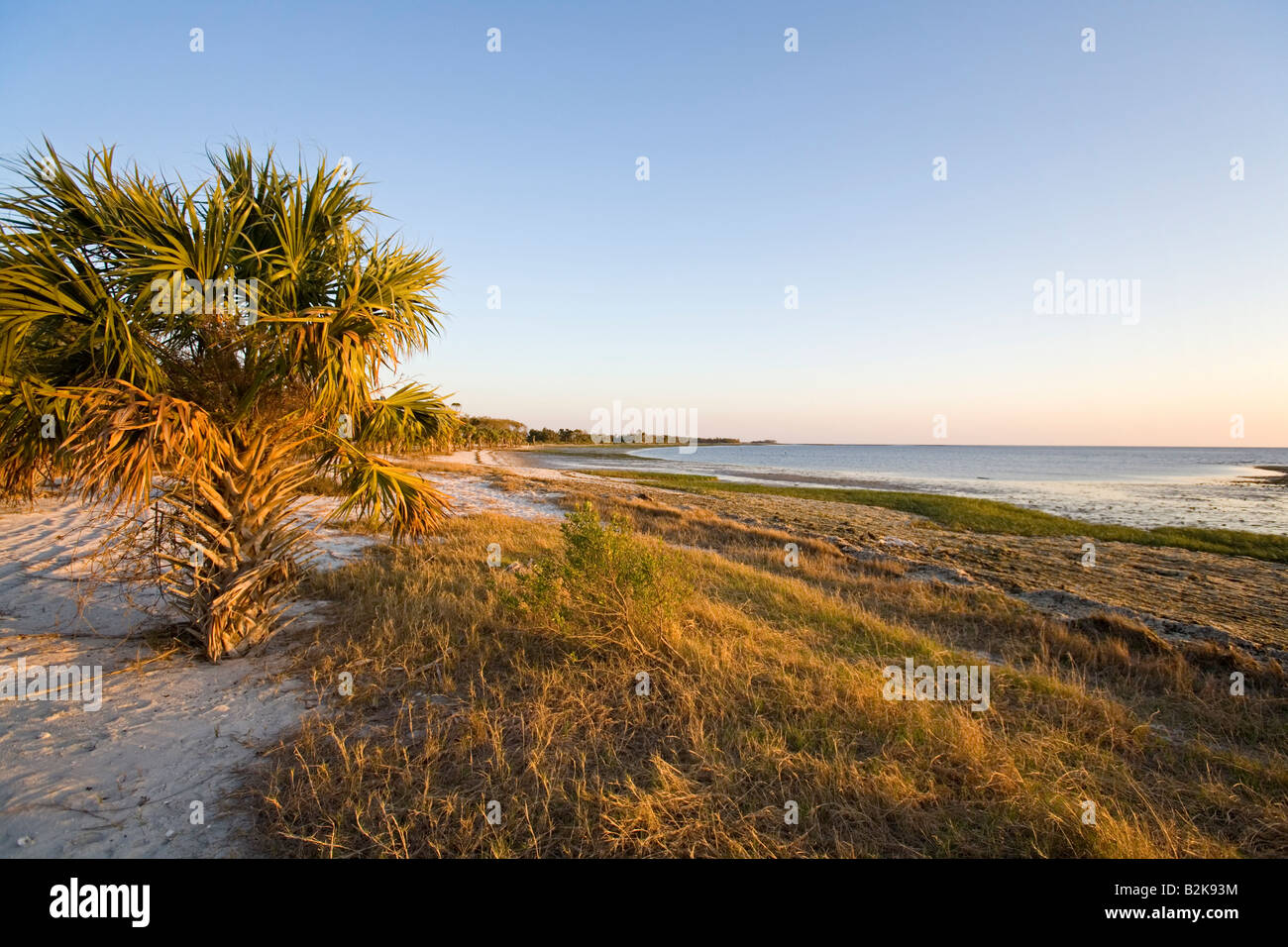 Shired Island, Gulf Coast, Florida Stock Photo - Alamy