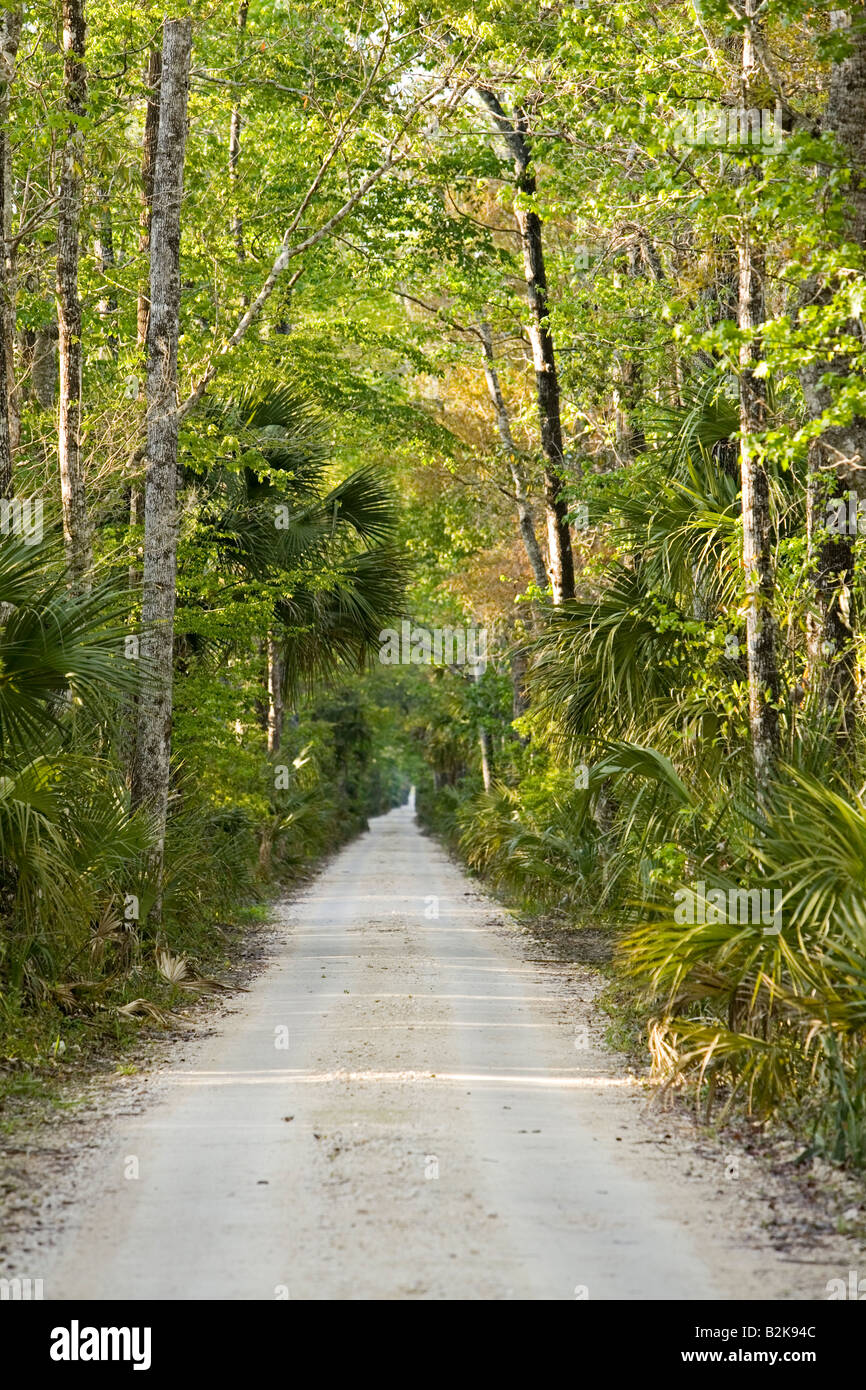 Dixie Mainline Highway near Suwannee, Florida Stock Photo - Alamy