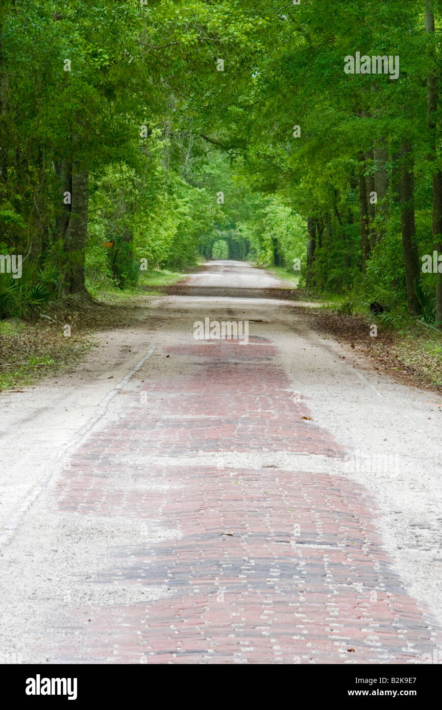 The Old Brick Road, near Espanola, Florida Stock Photo - Alamy