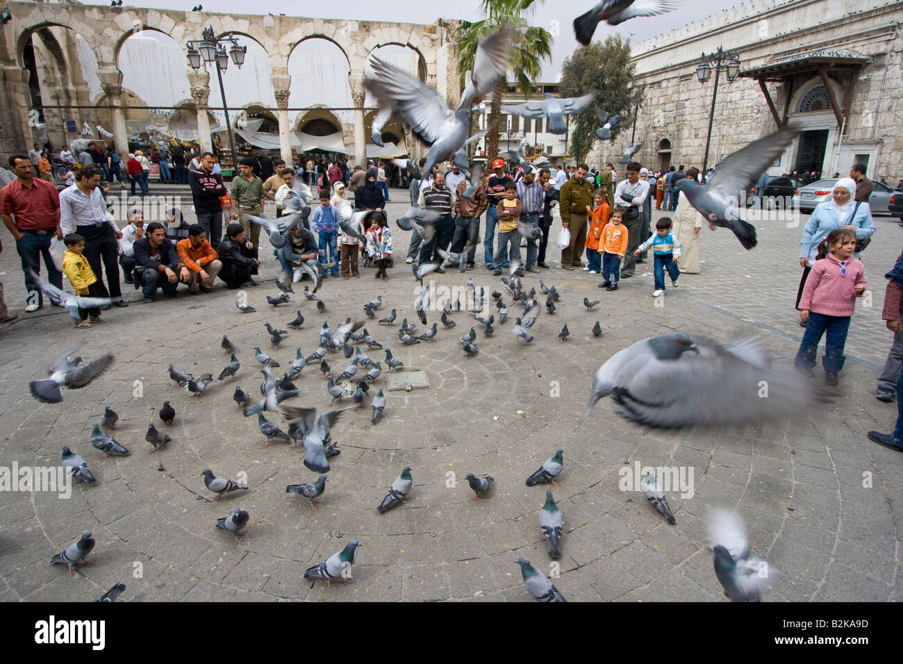 Pigeon Feeding in front of the Umayyad Mosque in Damascus Syria Stock ...