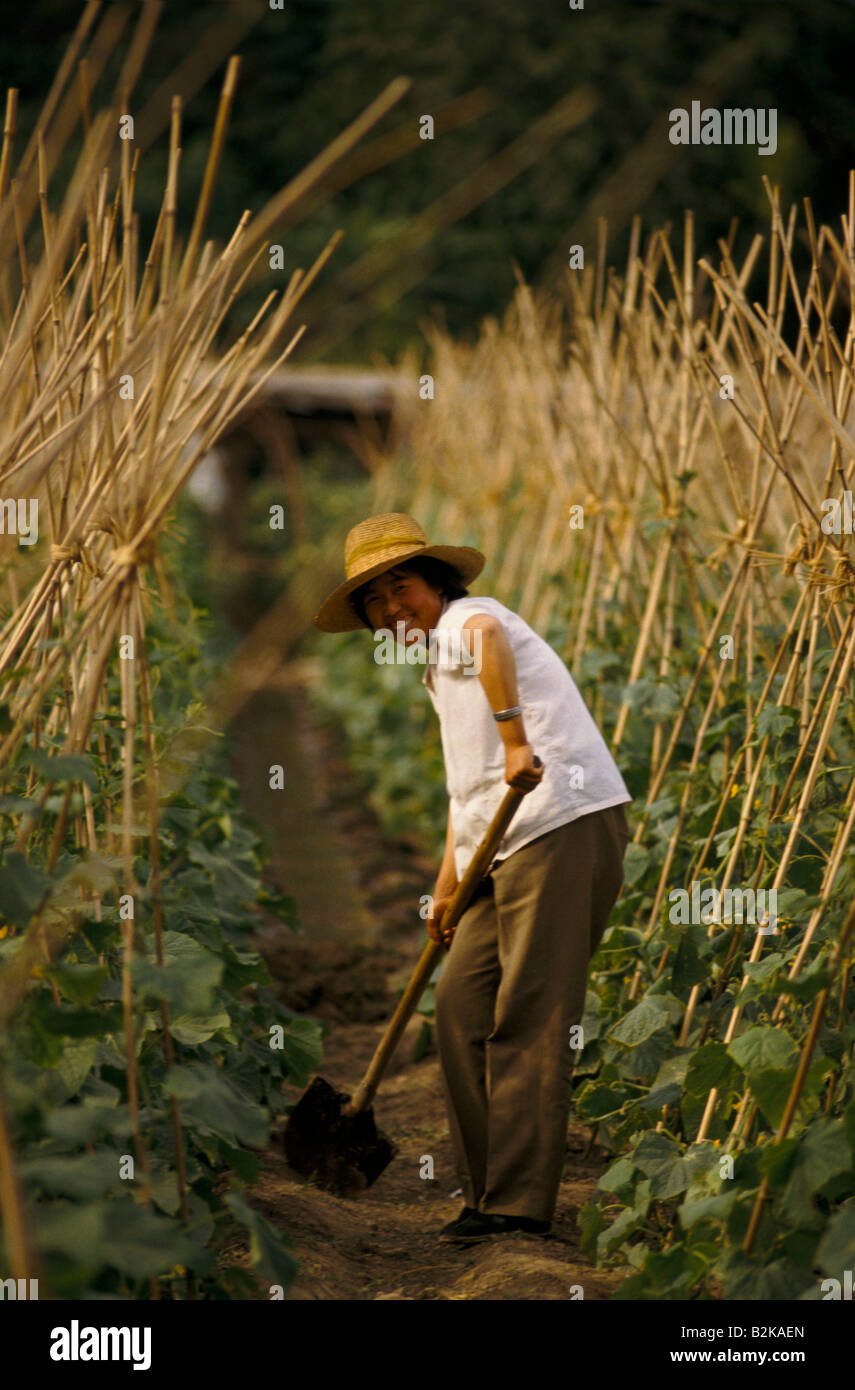 female farmer in rural china Stock Photo - Alamy