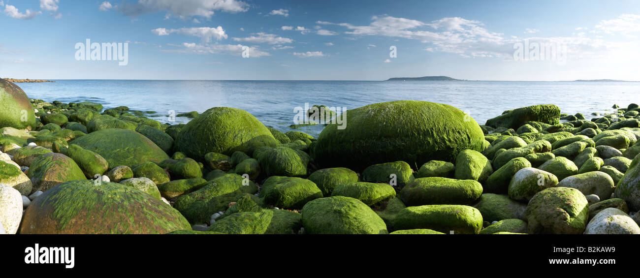 Portland stone texture hi-res stock photography and images - Alamy