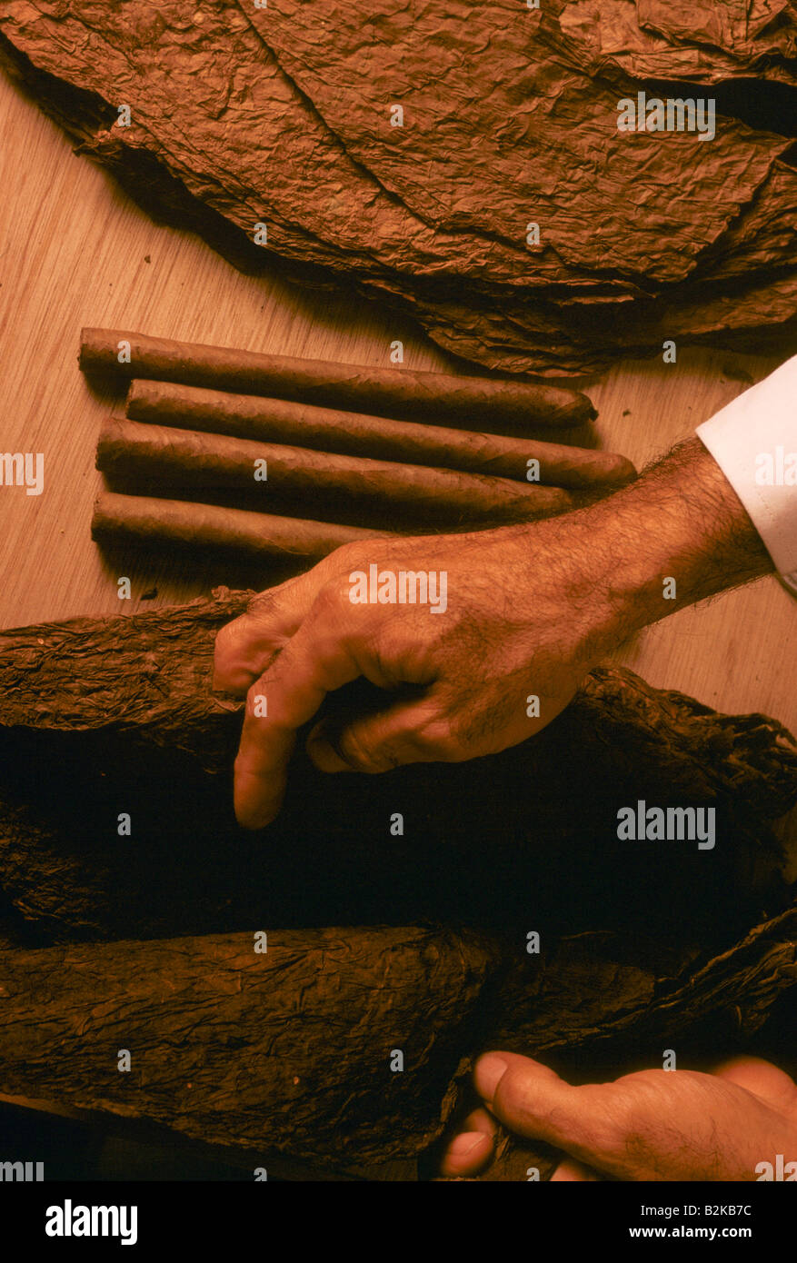 Tobacco wrapping hi-res stock photography and images - Alamy