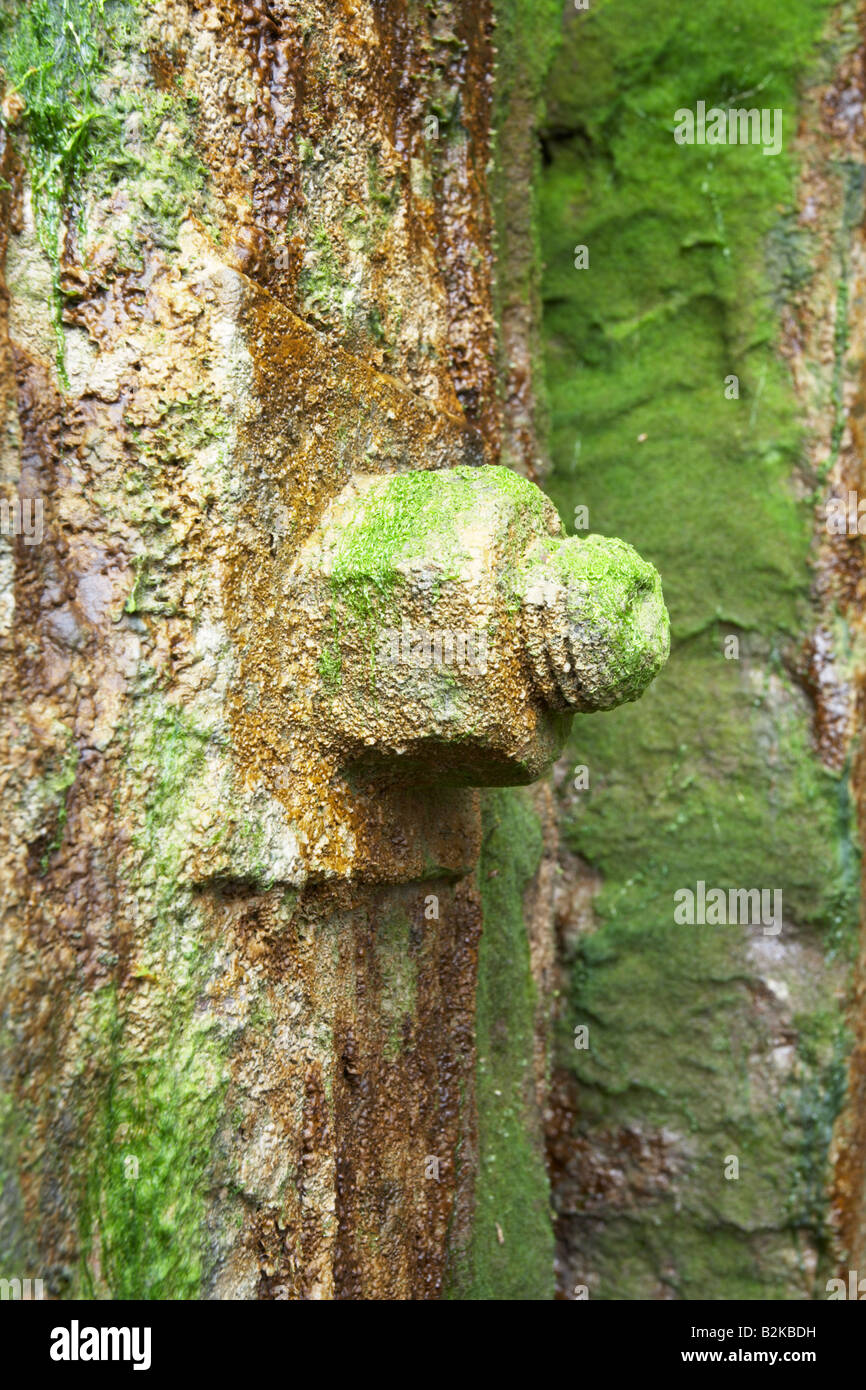 Green embankment hi-res stock photography and images - Alamy