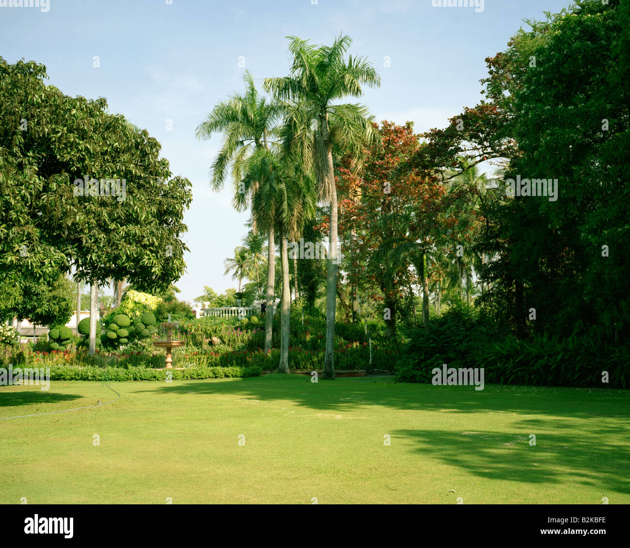 Rose canopy hi-res stock photography and images - Alamy