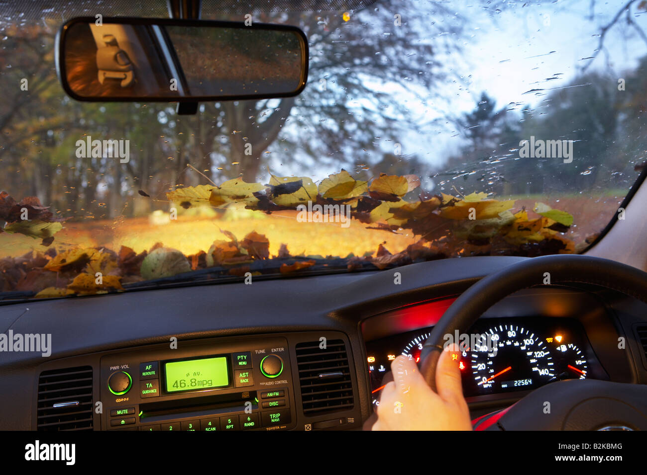 Interior of car in Autumn Stock Photo - Alamy