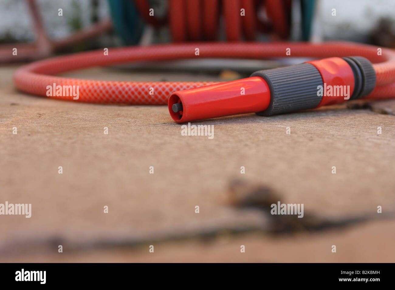 Garden hose on ground Stock Photo - Alamy
