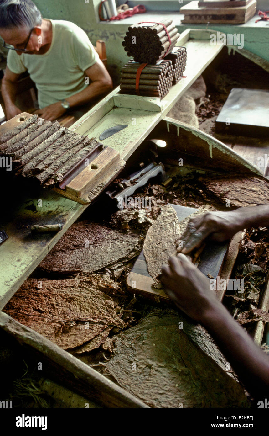 hands rolling cigars in a cuban factory Stock Photo - Alamy