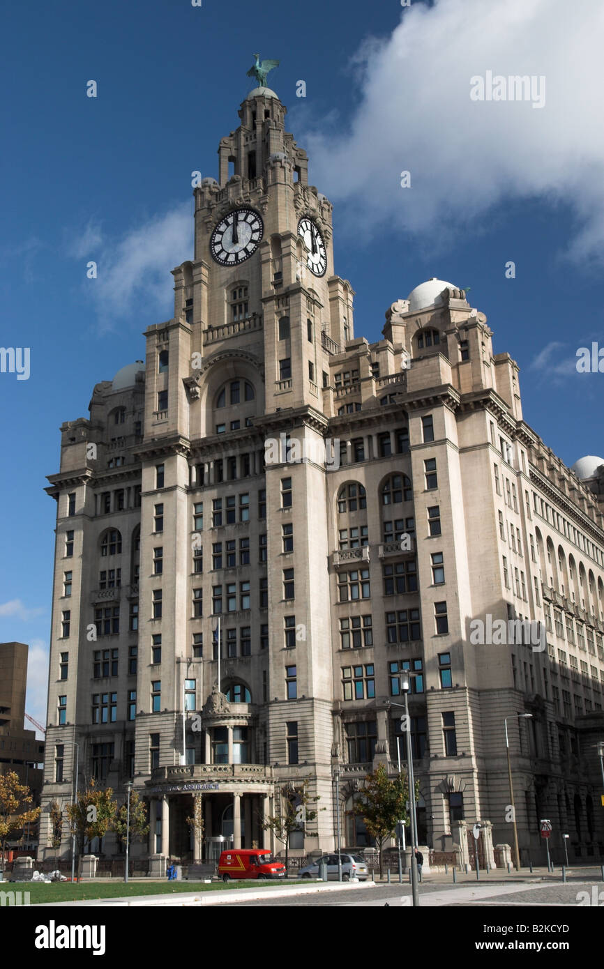 The Royal Liver Building, Liverpool Stock Photo - Alamy