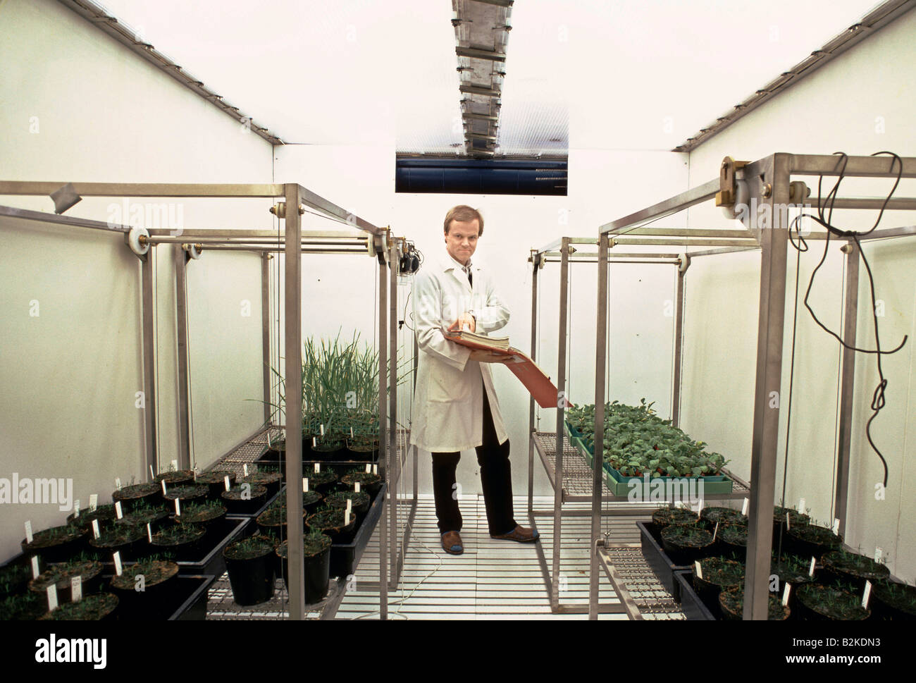 Effects of acid rain hi-res stock photography and images - Alamy