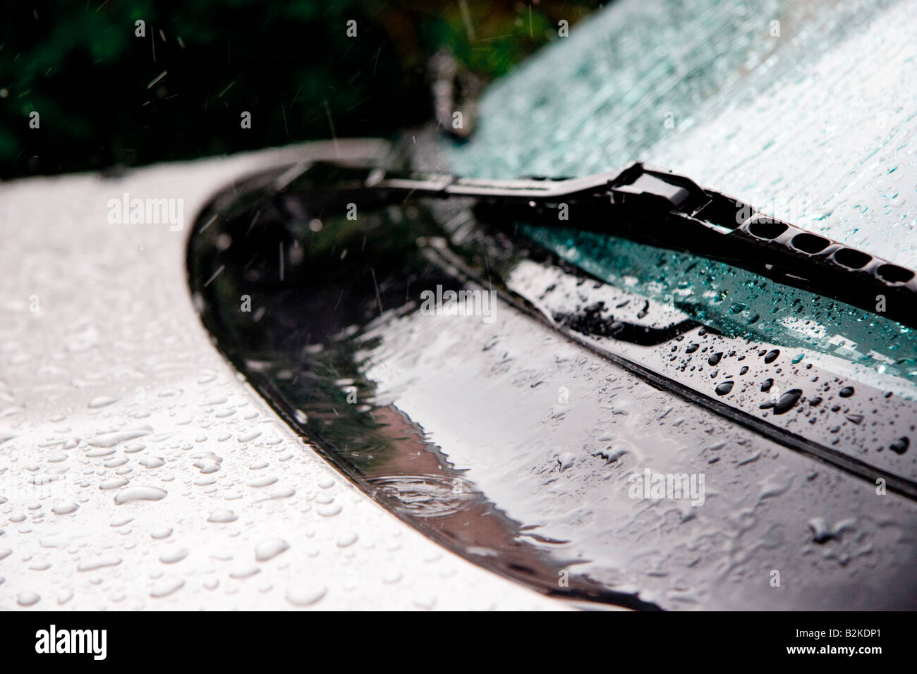 The windscreen or windshield and the bonnet or hood of a car during a ...