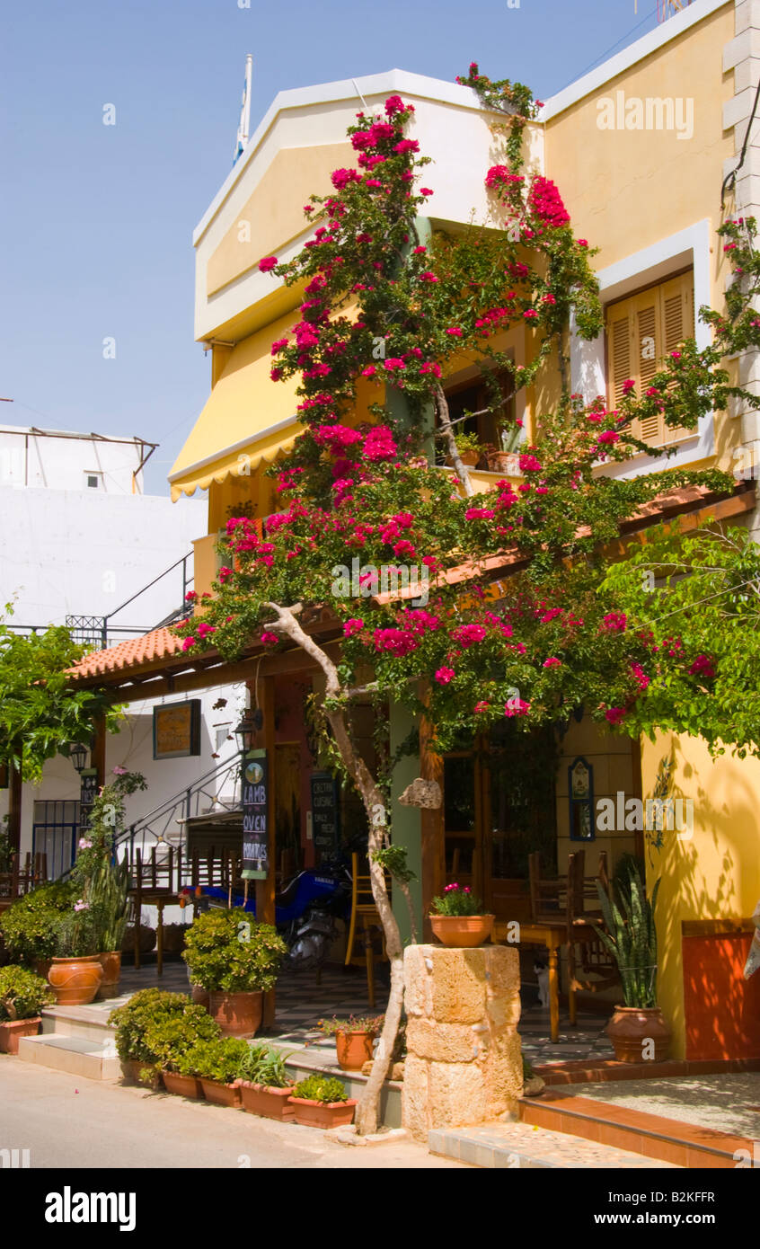 Exterior of Taverna with Bougainvillea climbing in Malia Old Town on ...