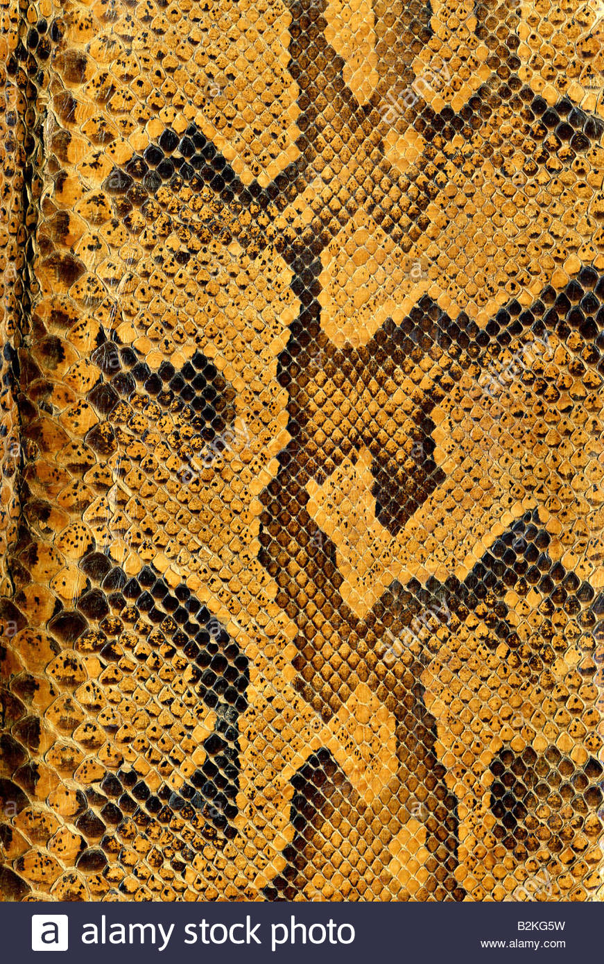 Rattlesnake Shed Stock Photos & Rattlesnake Shed Stock Images - Alamy