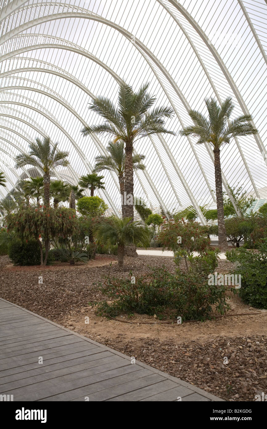 Umbracle umbracle l hi-res stock photography and images - Alamy