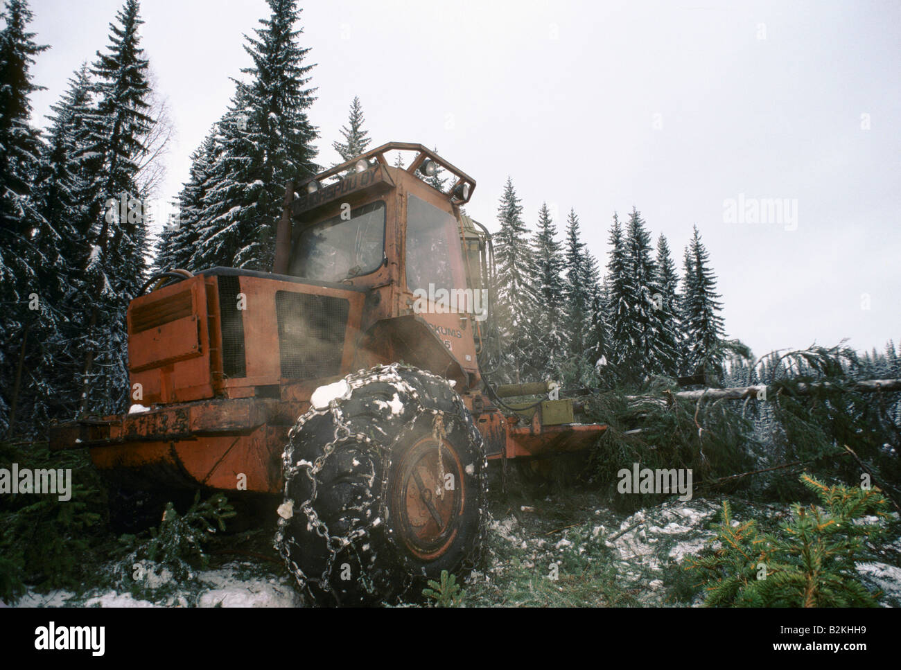 Finland deforestation hi-res stock photography and images - Alamy