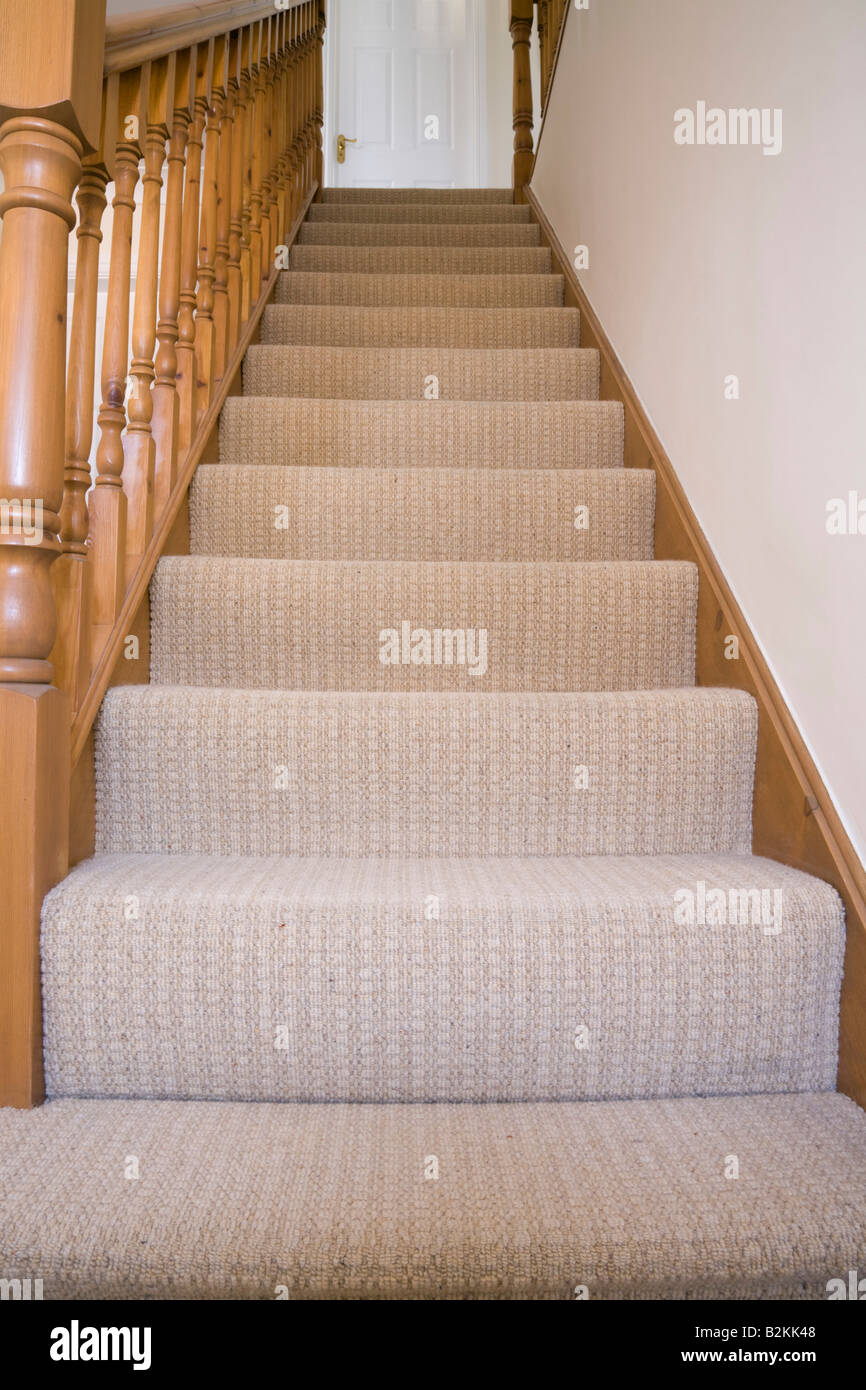 Carpeted Staircases In Houses