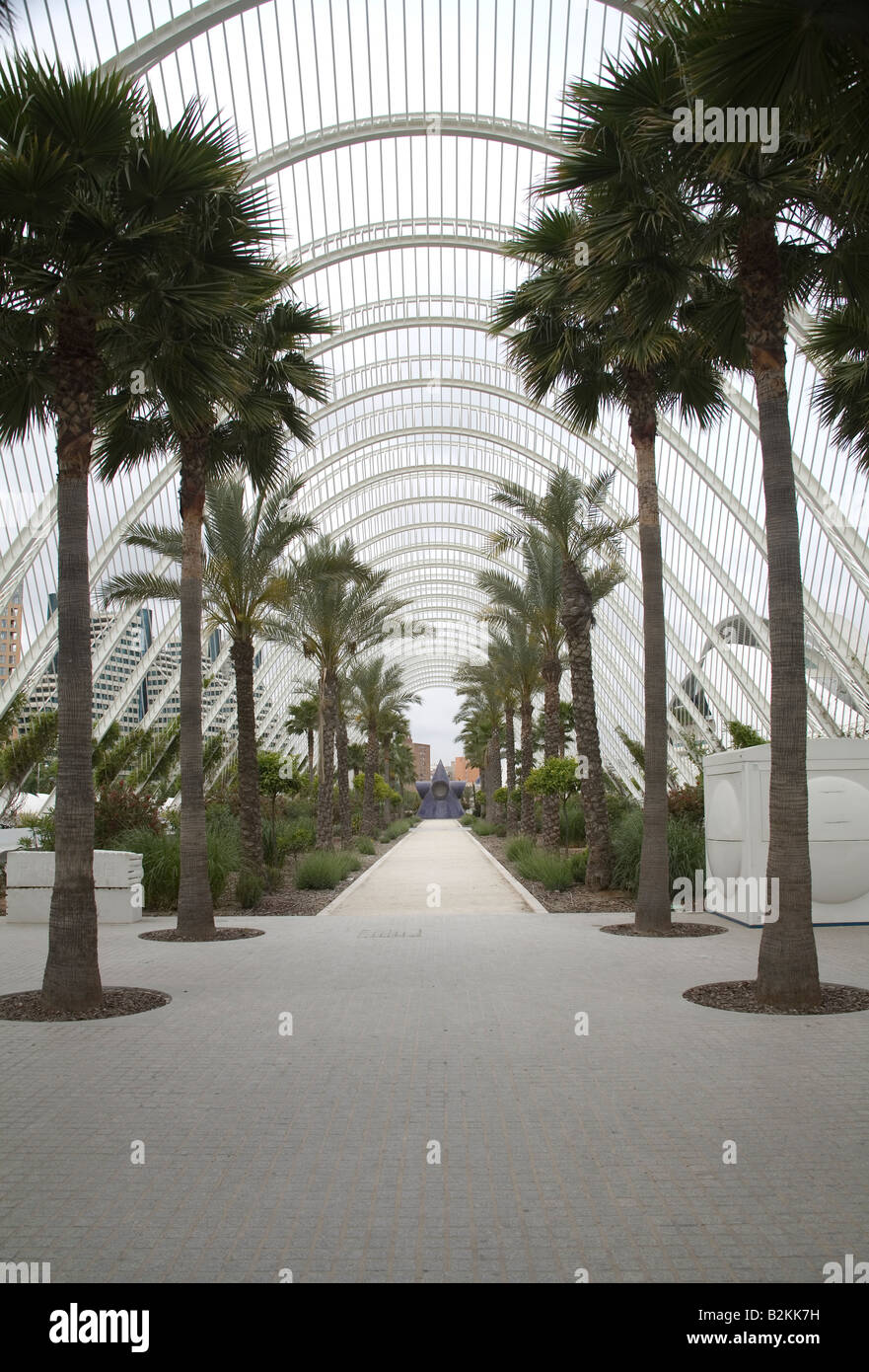 L Umbracle Garden Stock Photo - Alamy