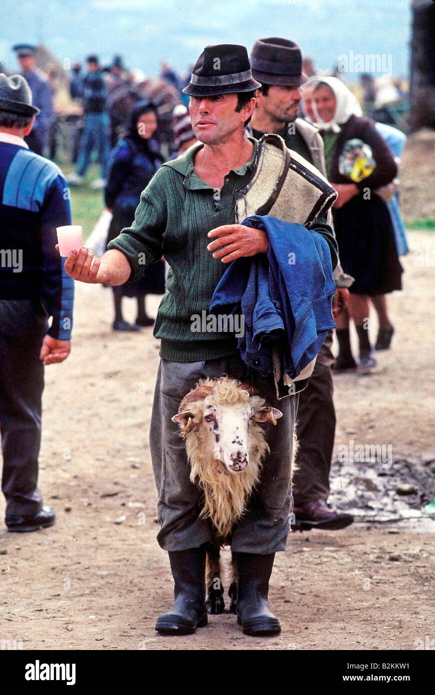 Man selling sheep at sugatag cattle market maramures, Romania Stock ...