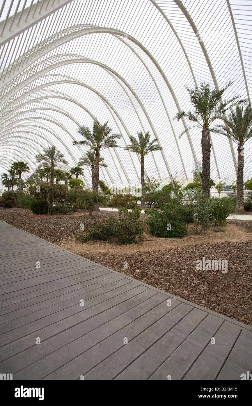 Umbracle umbracle l hi-res stock photography and images - Alamy