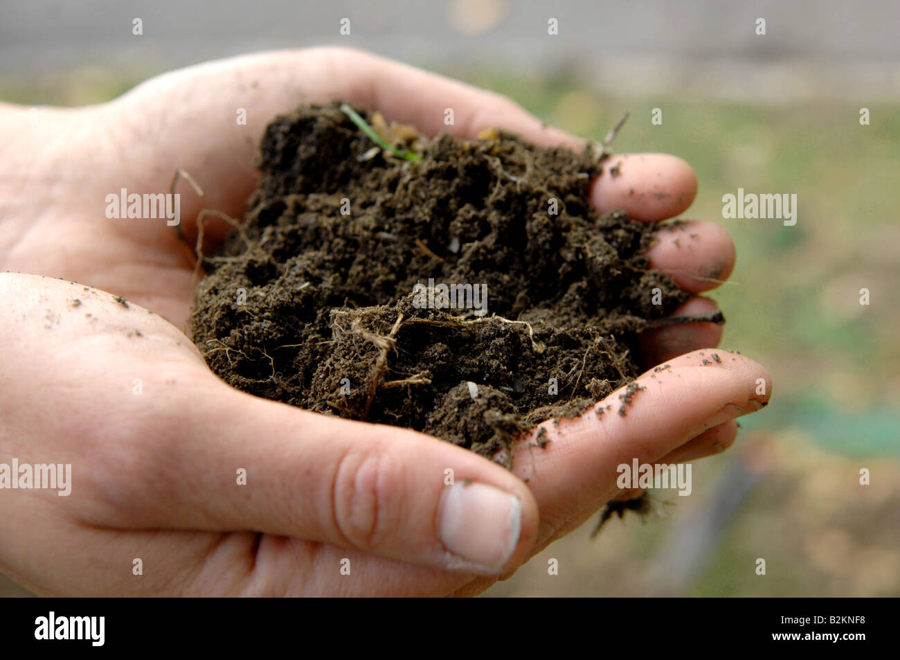earth in hand Stock Photo - Alamy