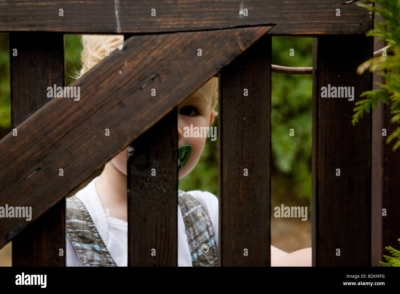 Small child behind a garden gate Stock Photo - Alamy