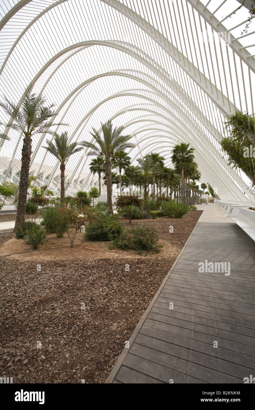 Umbracle umbracle l hi-res stock photography and images - Alamy