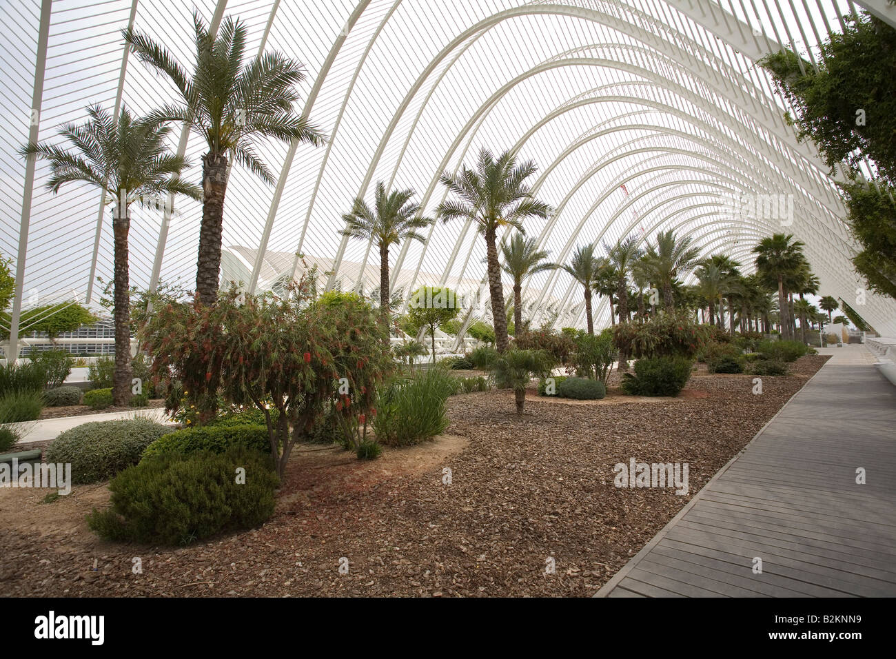 L Umbracle Garden Stock Photo - Alamy