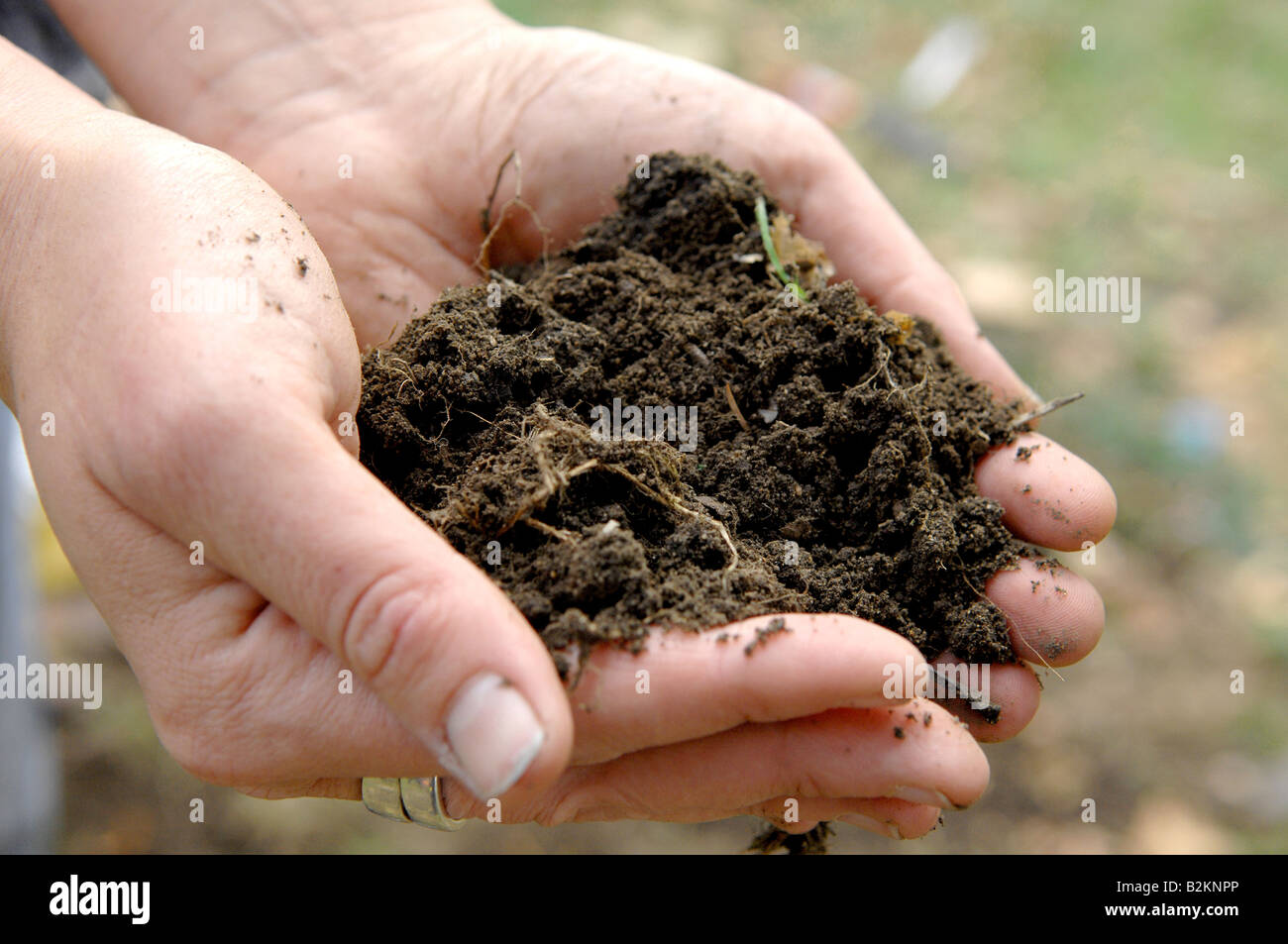 earth in hand Stock Photo - Alamy