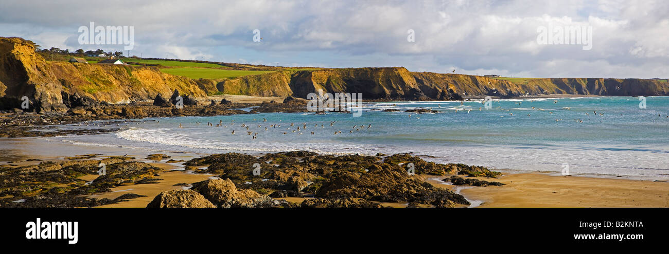 The Copper Coast From Boatstrand Harbour, County Waterford, Ireland ...