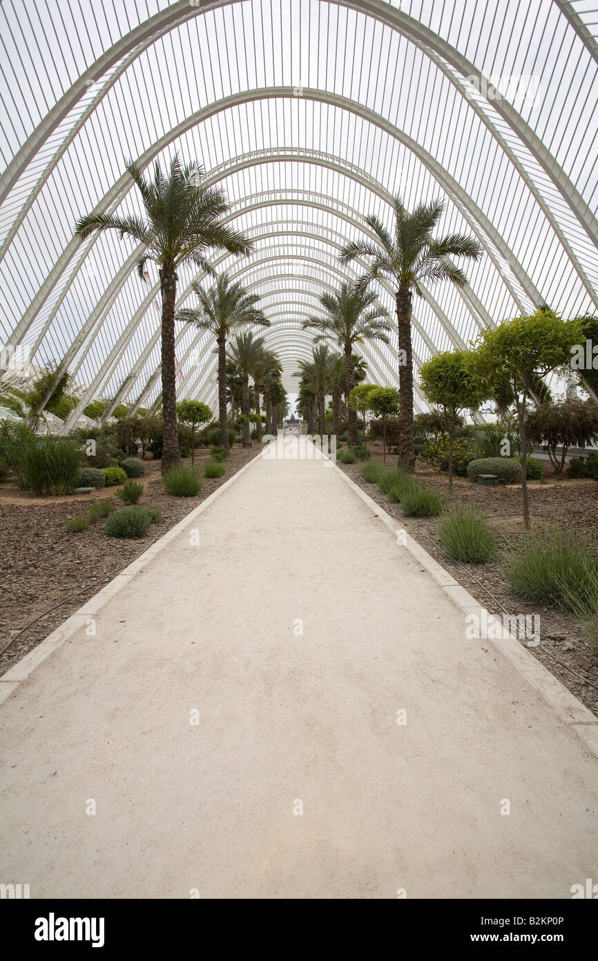 L Umbracle Garden Stock Photo - Alamy