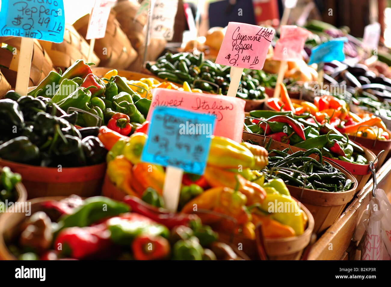 Raleigh display hi-res stock photography and images - Alamy