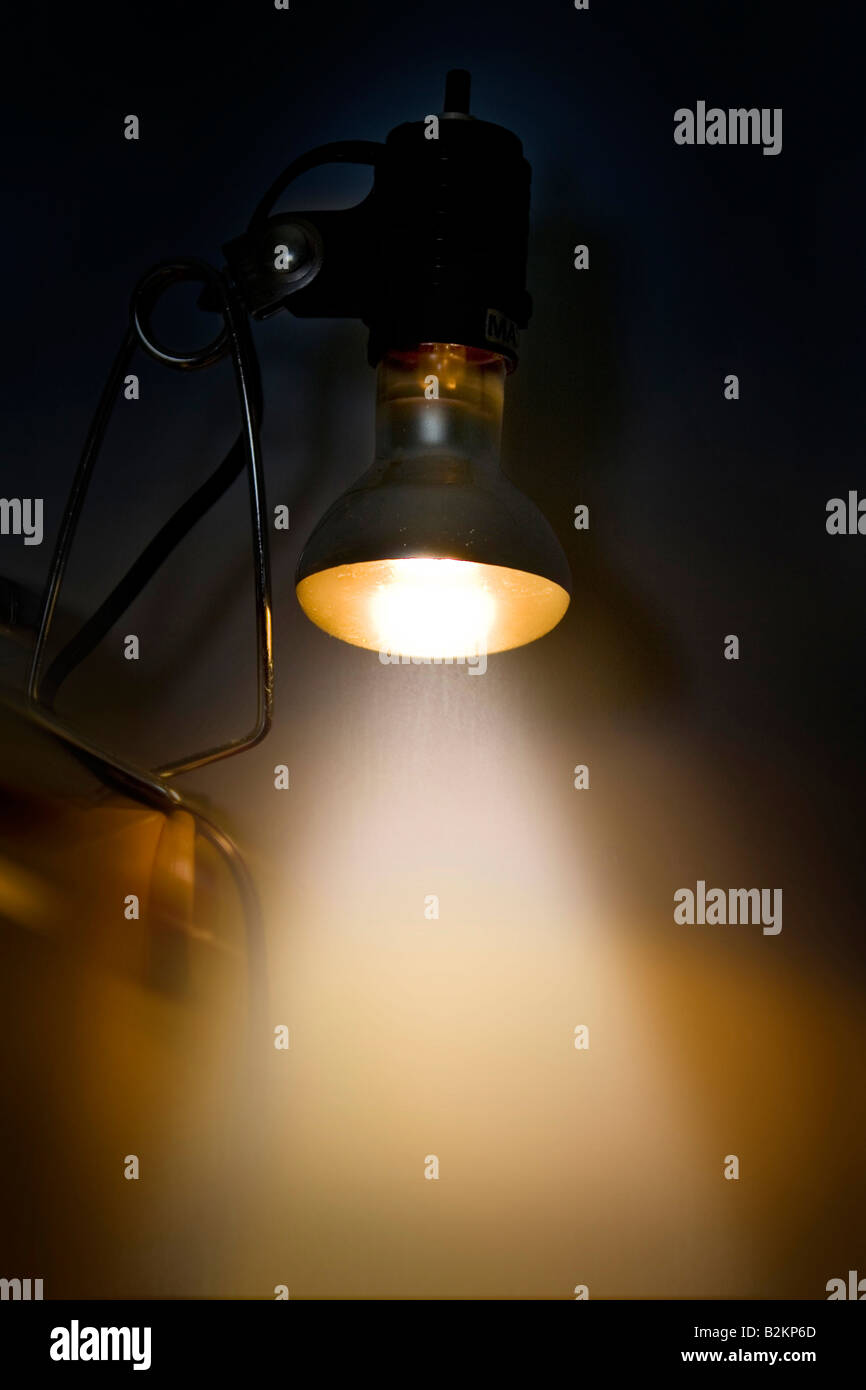 light bulb concept Stock Photo - Alamy