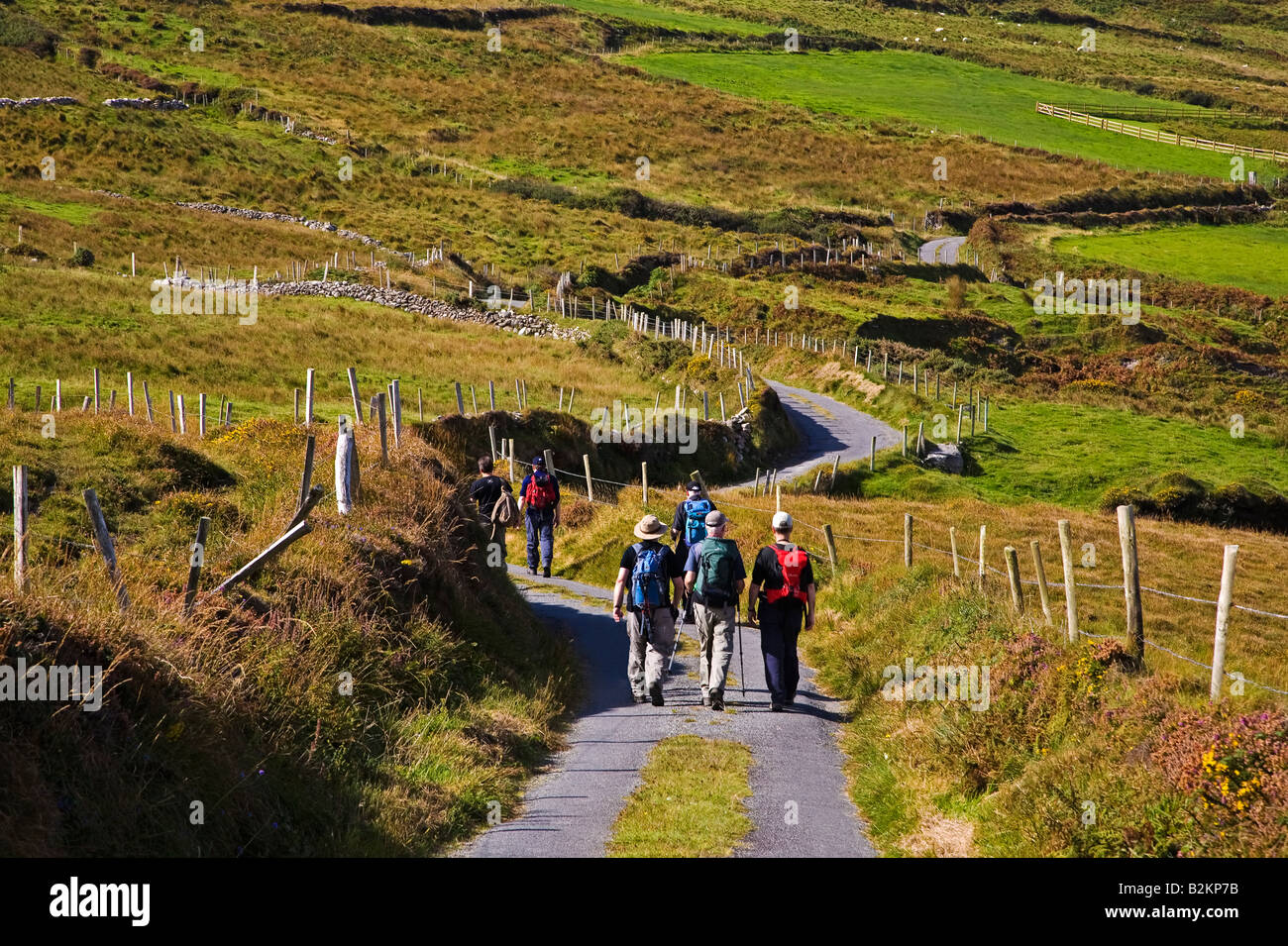 Older hikers on boreen, or farm track, Near Allihies, Beara Peninsula ...