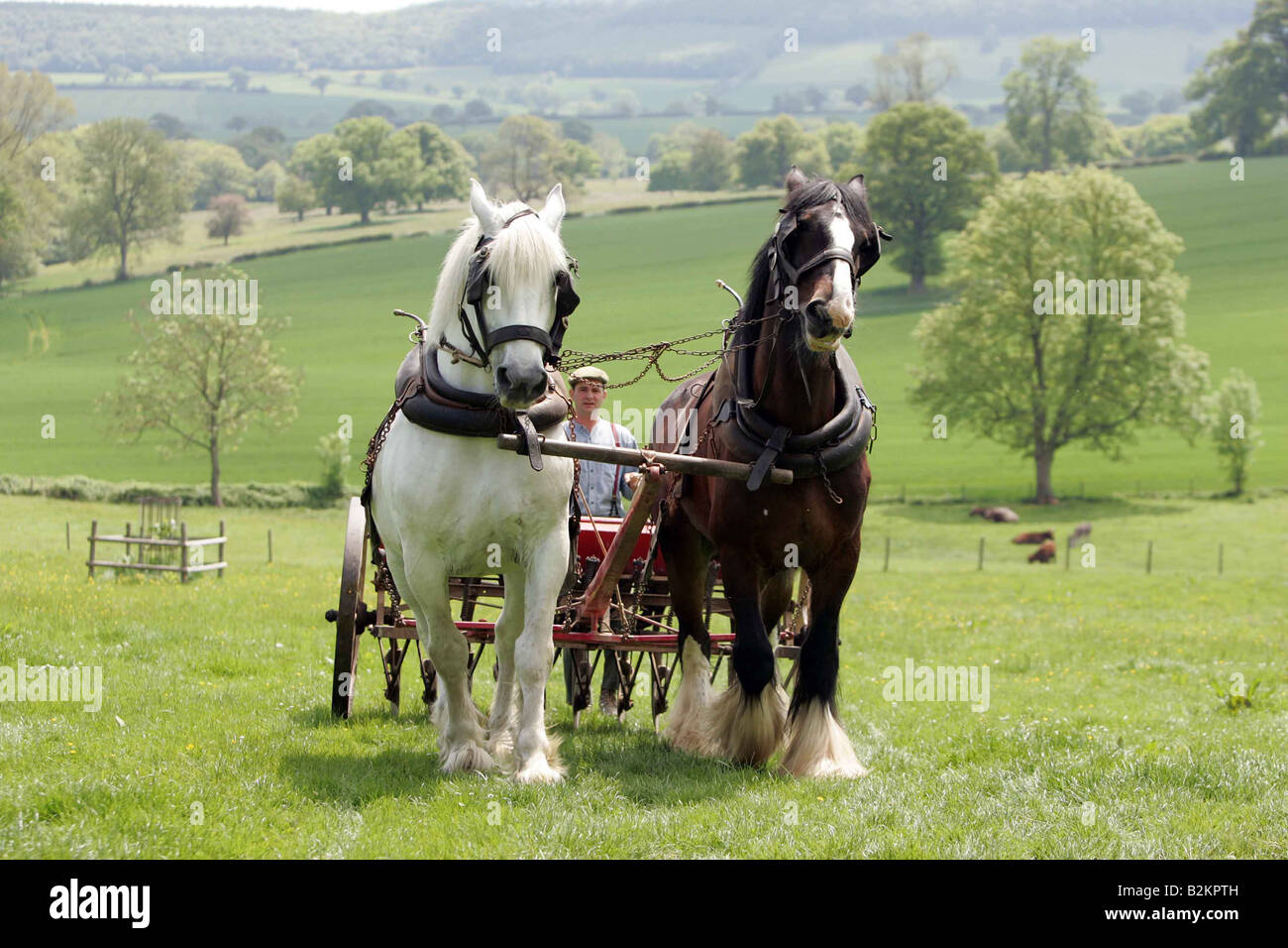 Farmer Horse Uk High Resolution Stock Photography and Images - Alamy
