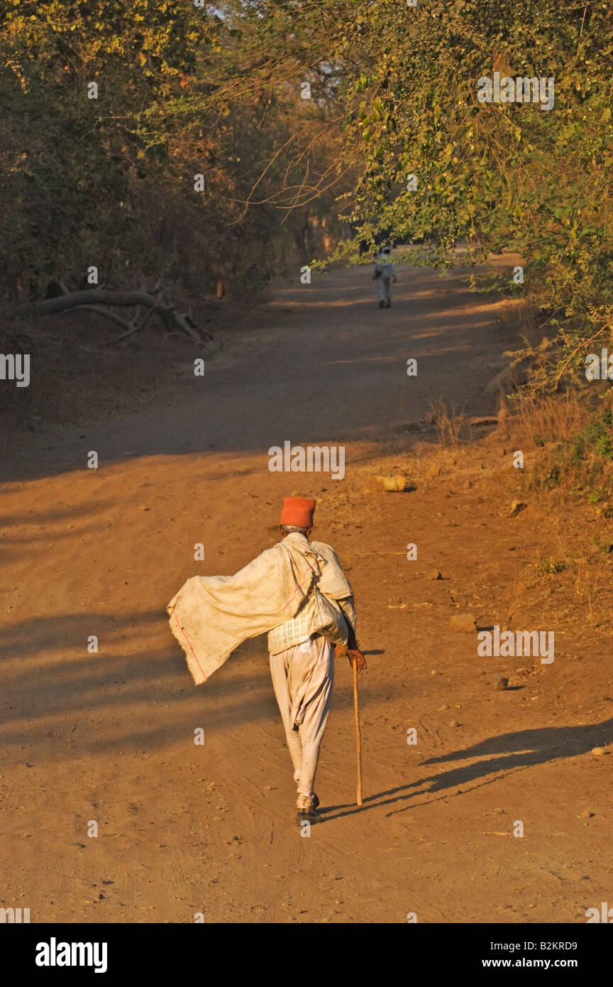 maldhari at gir national park Stock Photo - Alamy