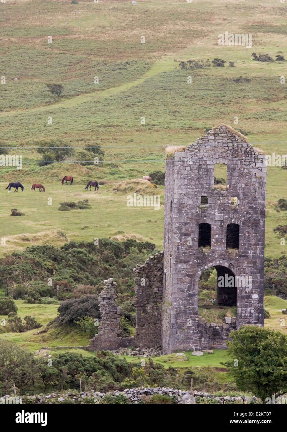 ruins of a tin mine building on the Cornish moors Stock Photo - Alamy