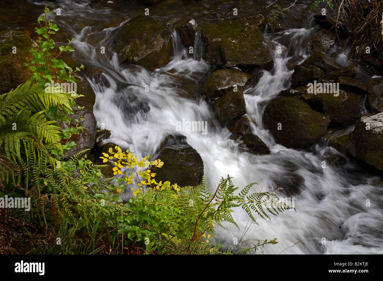 Fast moving stream of water hi-res stock photography and images - Alamy
