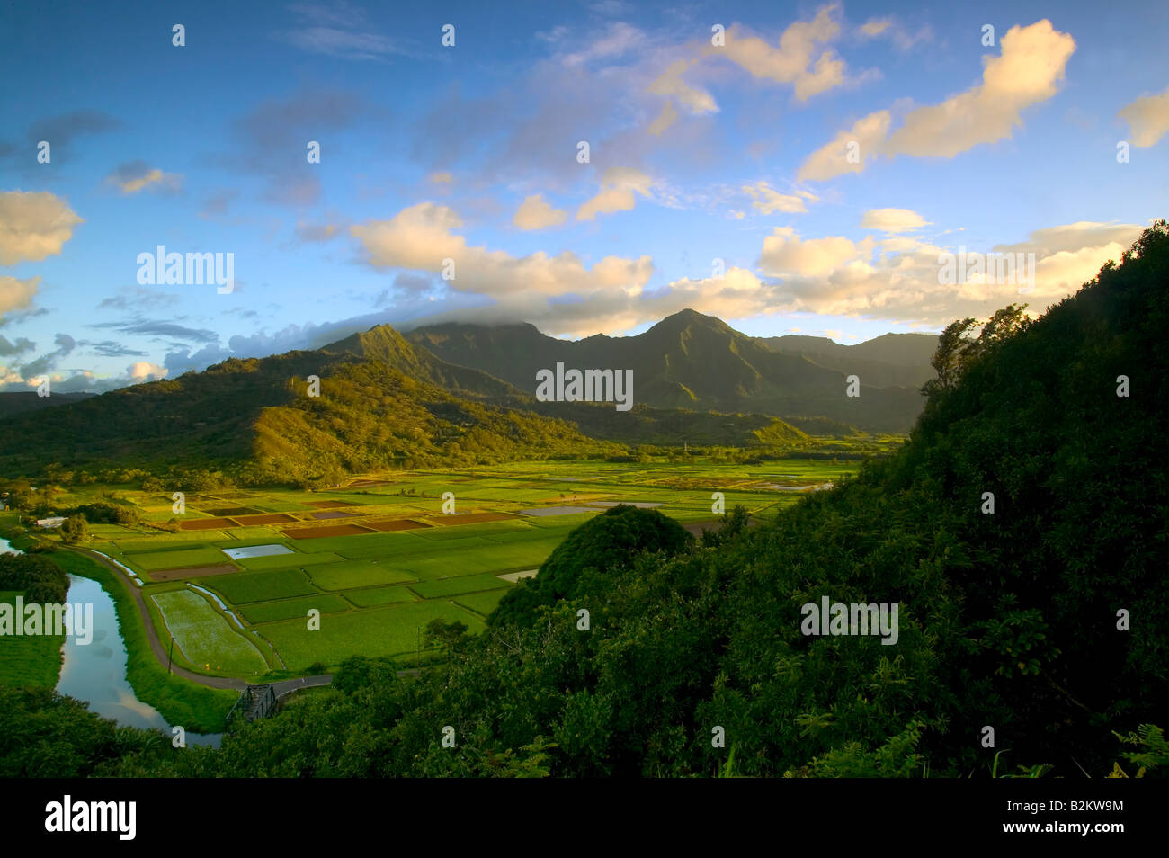 Hanalei valley lookout hi-res stock photography and images - Alamy